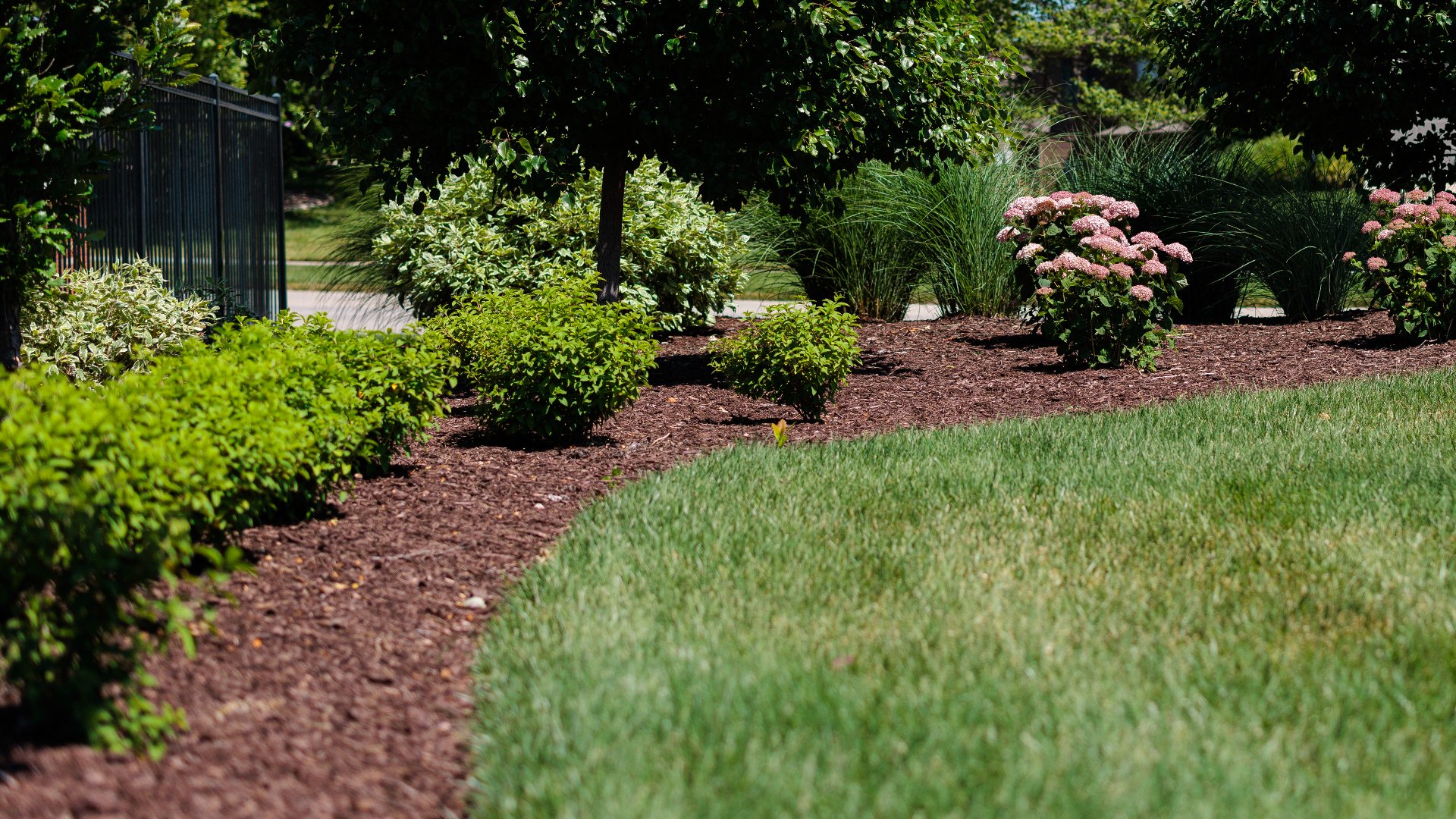 Mulch Should Be Replenished Regularly to Reap All Its Intended Benefits ...